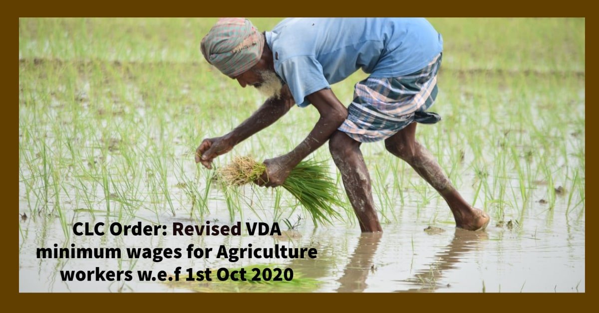 CLC Order: Revised VDA minimum wages for Agriculture workers w.e.f 1st ...